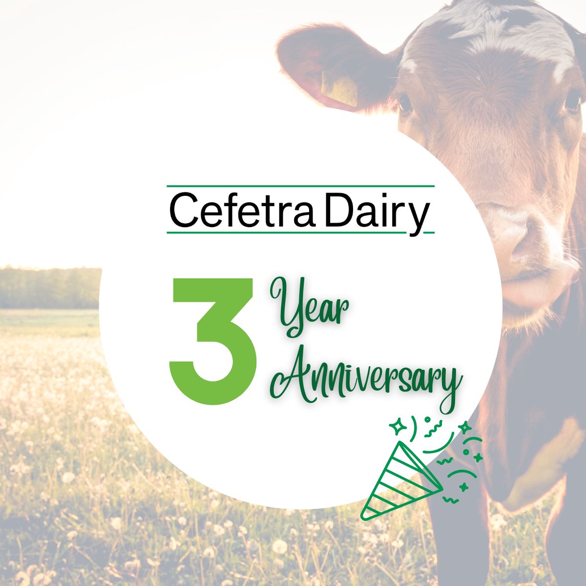 Cefetra Dairy 3 year anniversary | Cefetra